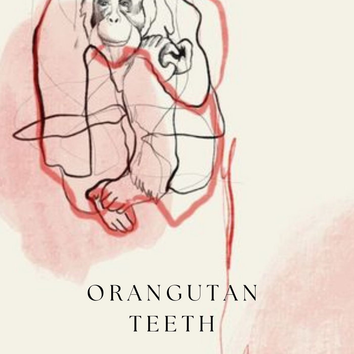 Orangutan Teeth | Trev Cimenski