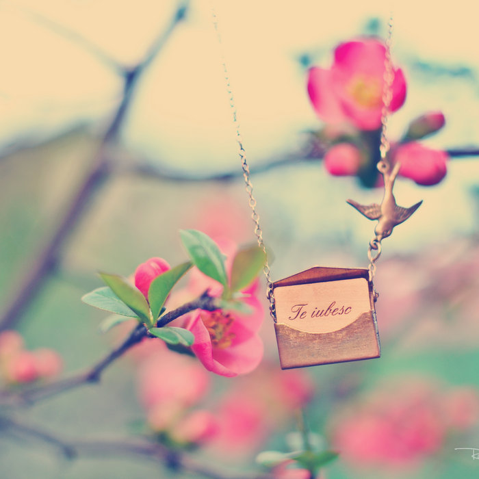 Spire - Petal Falls | spire