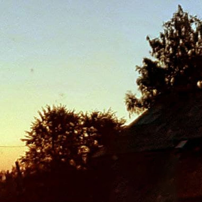 Remembrance, Legacy | Very Dark 死 | Wilhelm Lyons