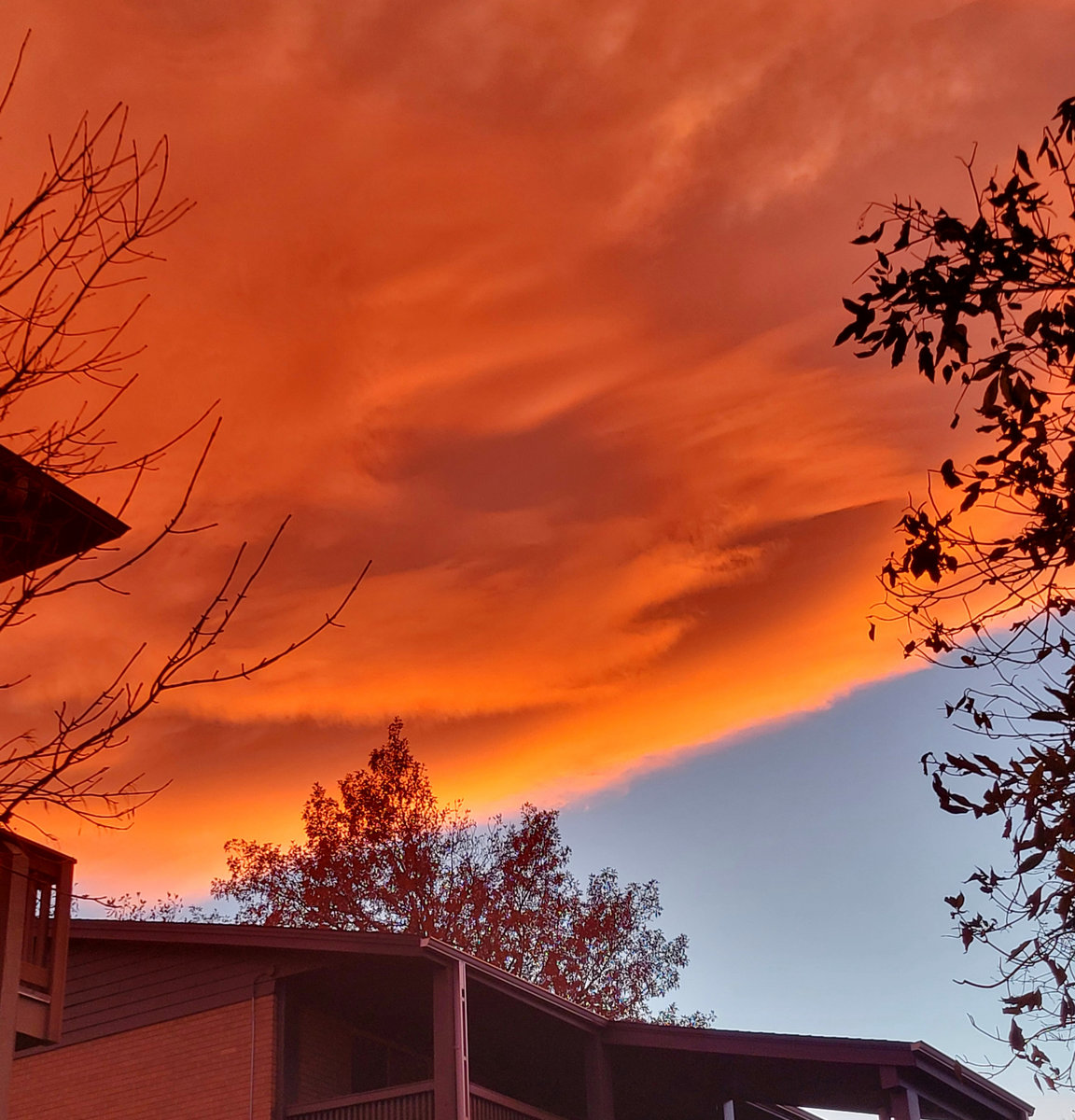 Human Instrumentality | Cujo Soul