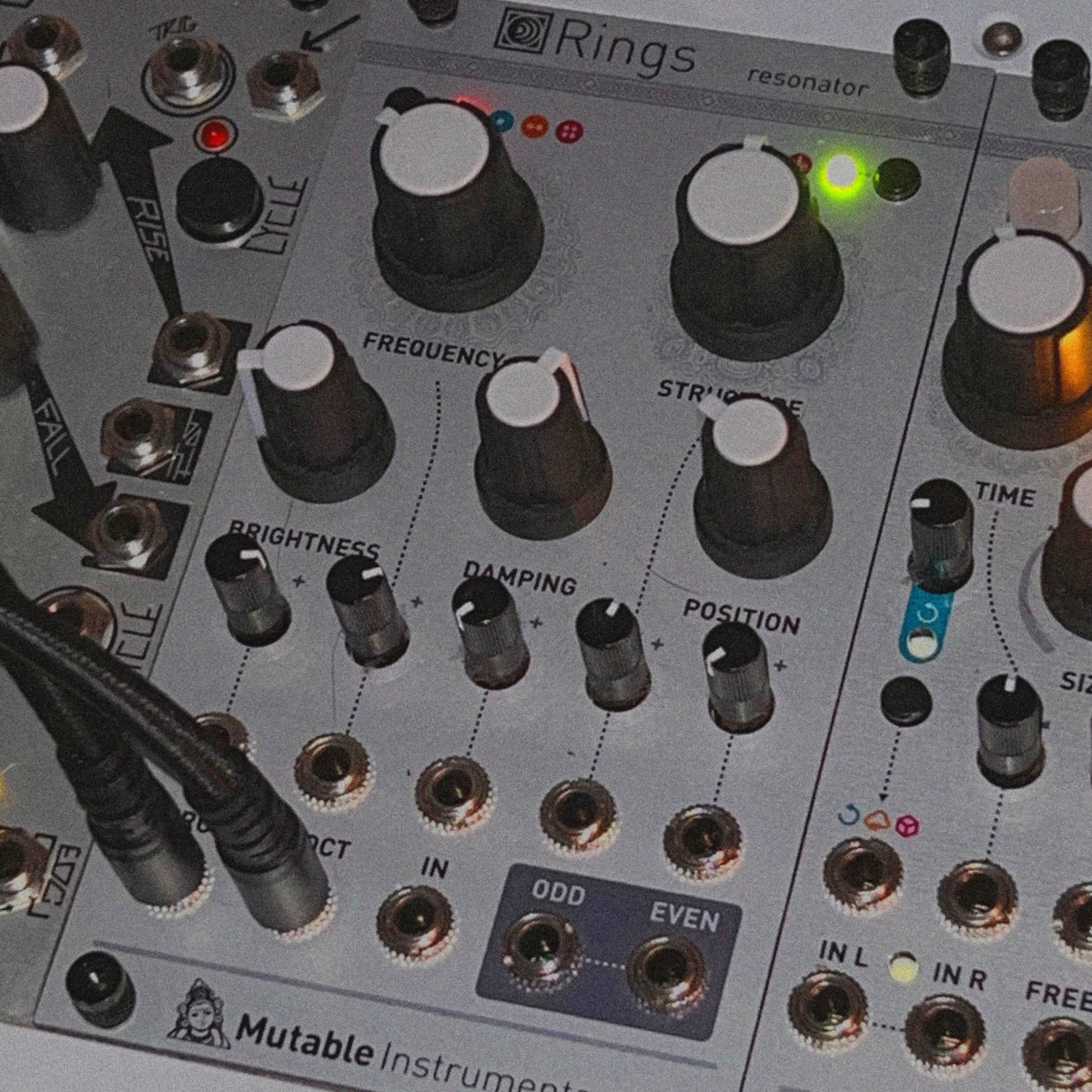 Mutable Instruments Rings Oneshot Sample Pack | Looma