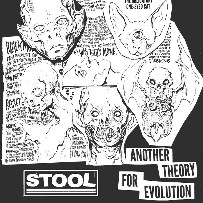 Another Theory Of Evolution | stool