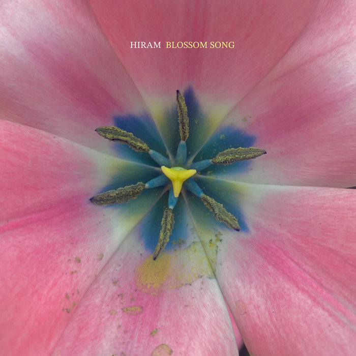 Blossom Song | Hiram