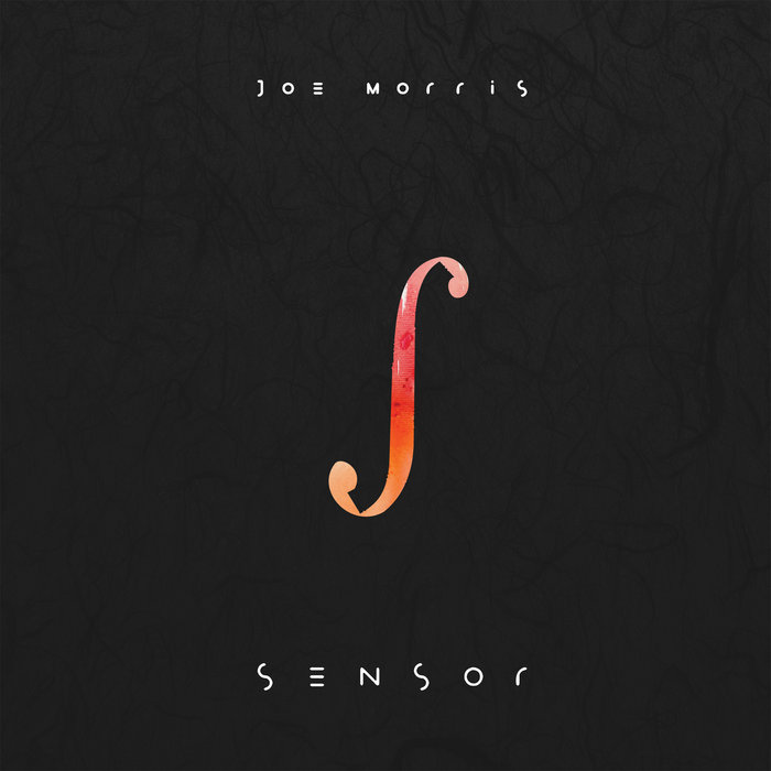 Sensor | Joe Morris | NoBusiness Records