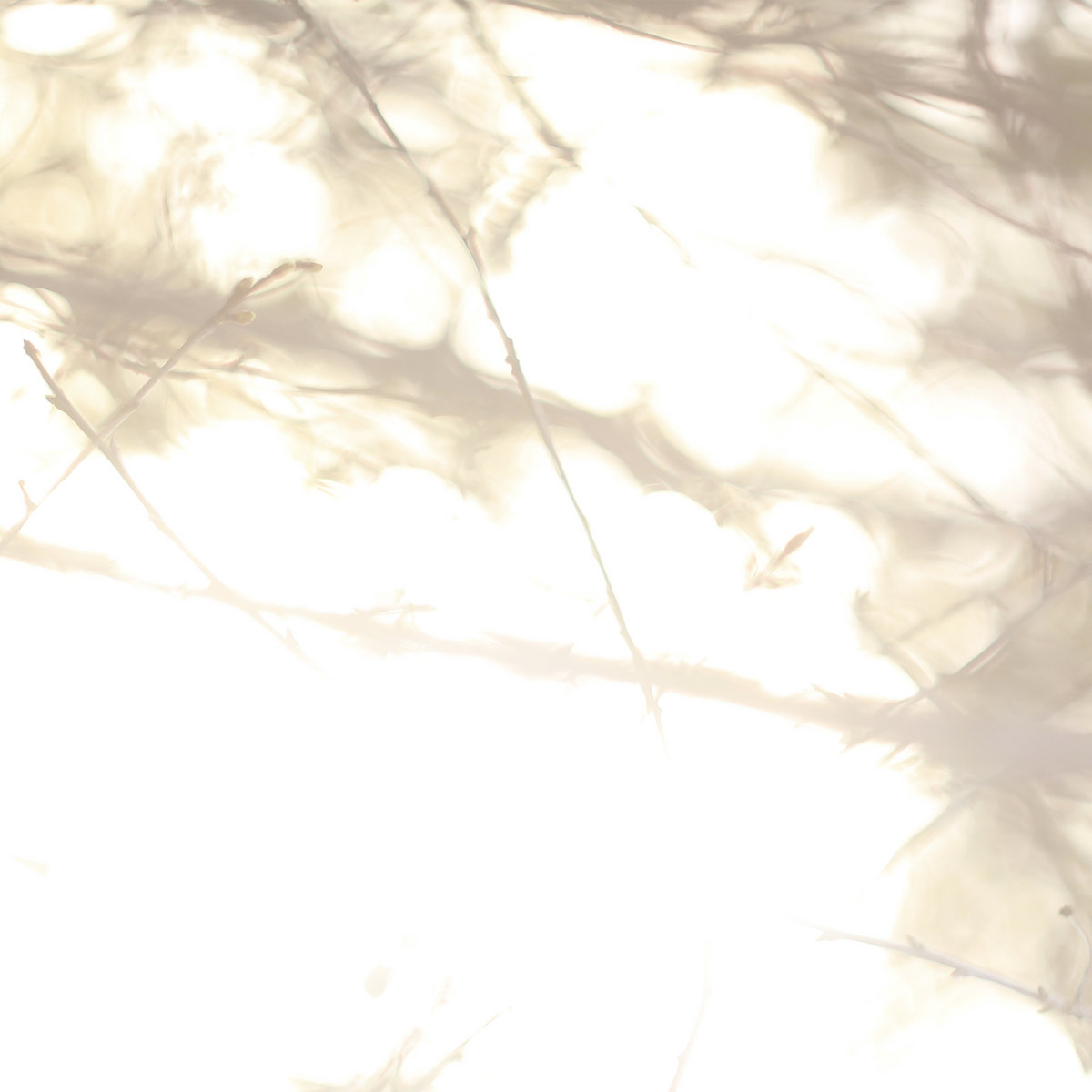 Æhaboqoloxa | sonnov