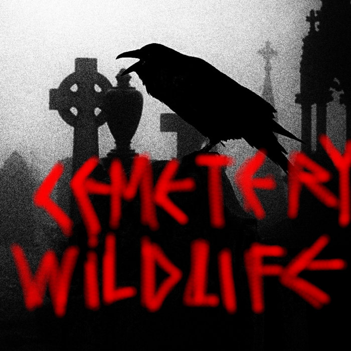 cemetery wildlife | CEMETERY WILDLIFE | The Monster Gate Experiments