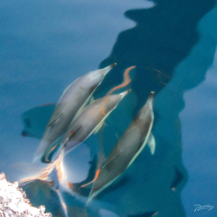 Lucid / Feel So | Gramrcy & John Loveless | John Loveless