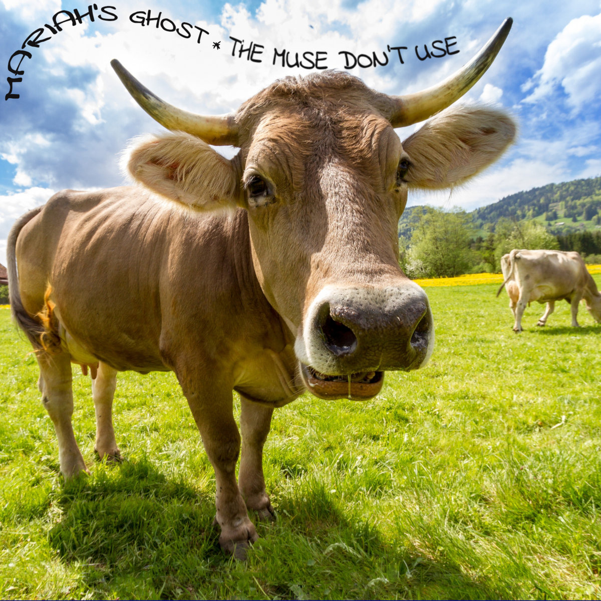 The Muse Don't Use | Mariah's Ghost