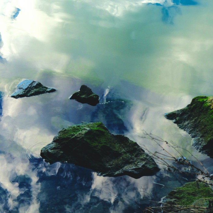 Riverseeds Archive | Small Water Bodies