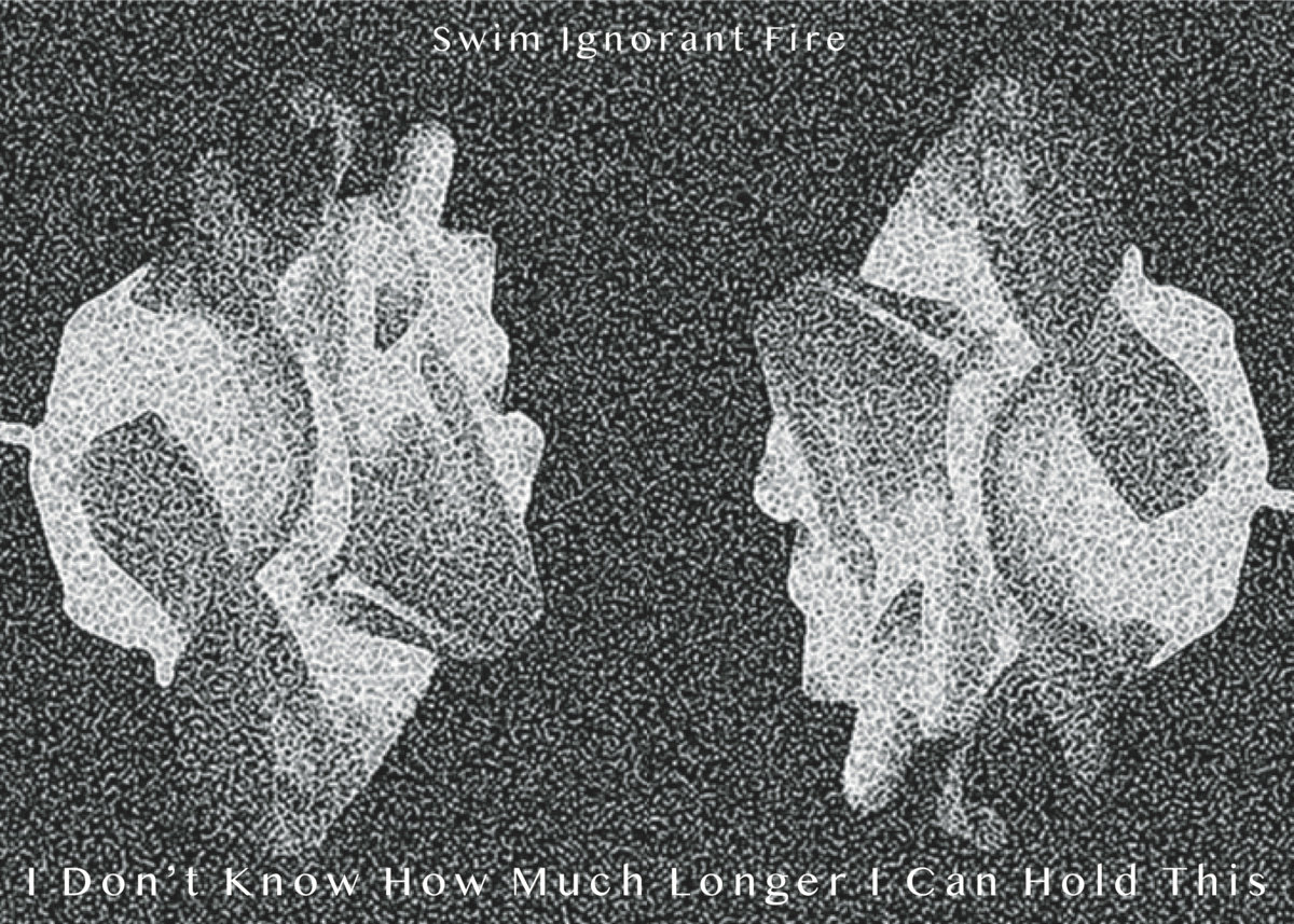 I Don't Know How Much Longer I Can Hold This | Swim Ignorant Fire | No ...