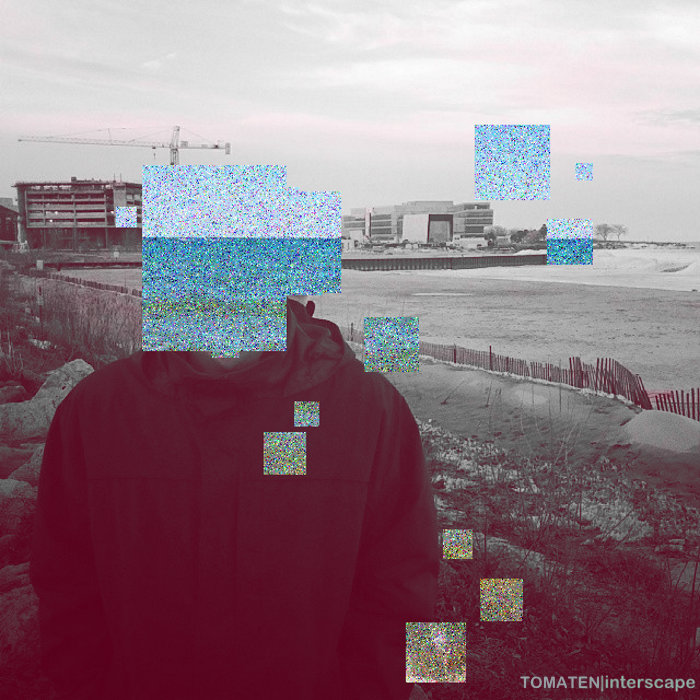 interscape | prairie wolf