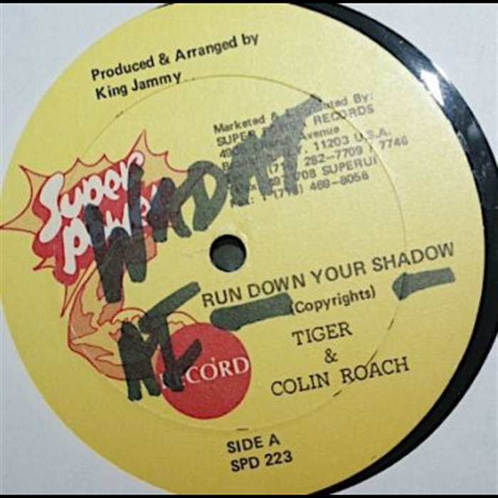 Run Down Your Shadow | Tiger