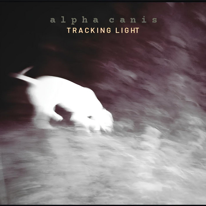 echoes | alpha canis