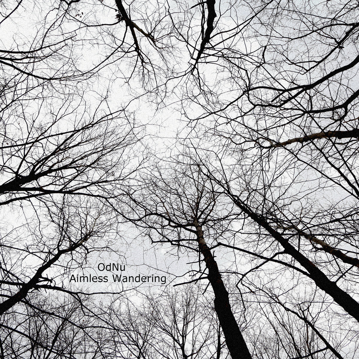 Aimless Wandering | OdNu