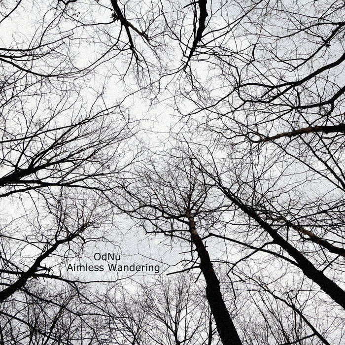 Aimless Wandering | OdNu