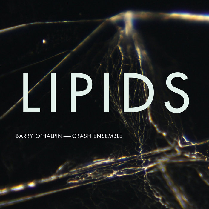 Barry O'Halpin - Lipids | Crash Ensemble