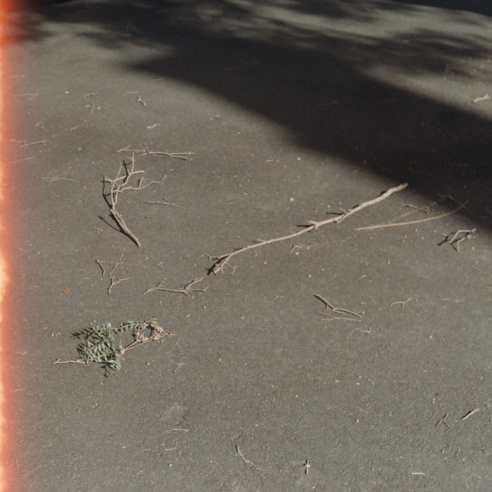 Remembered Room | Nick Huggins