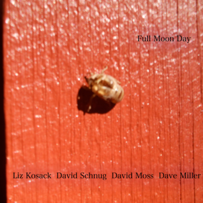 FULL MOON DAY (Kosack, Schnug, Moss, Miller) | Liz Kosack, David Schnug ...