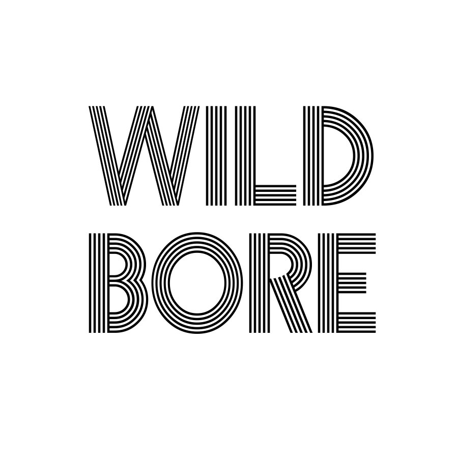 Wild Bore - Demo | Eight Floors Above Audio Mastering