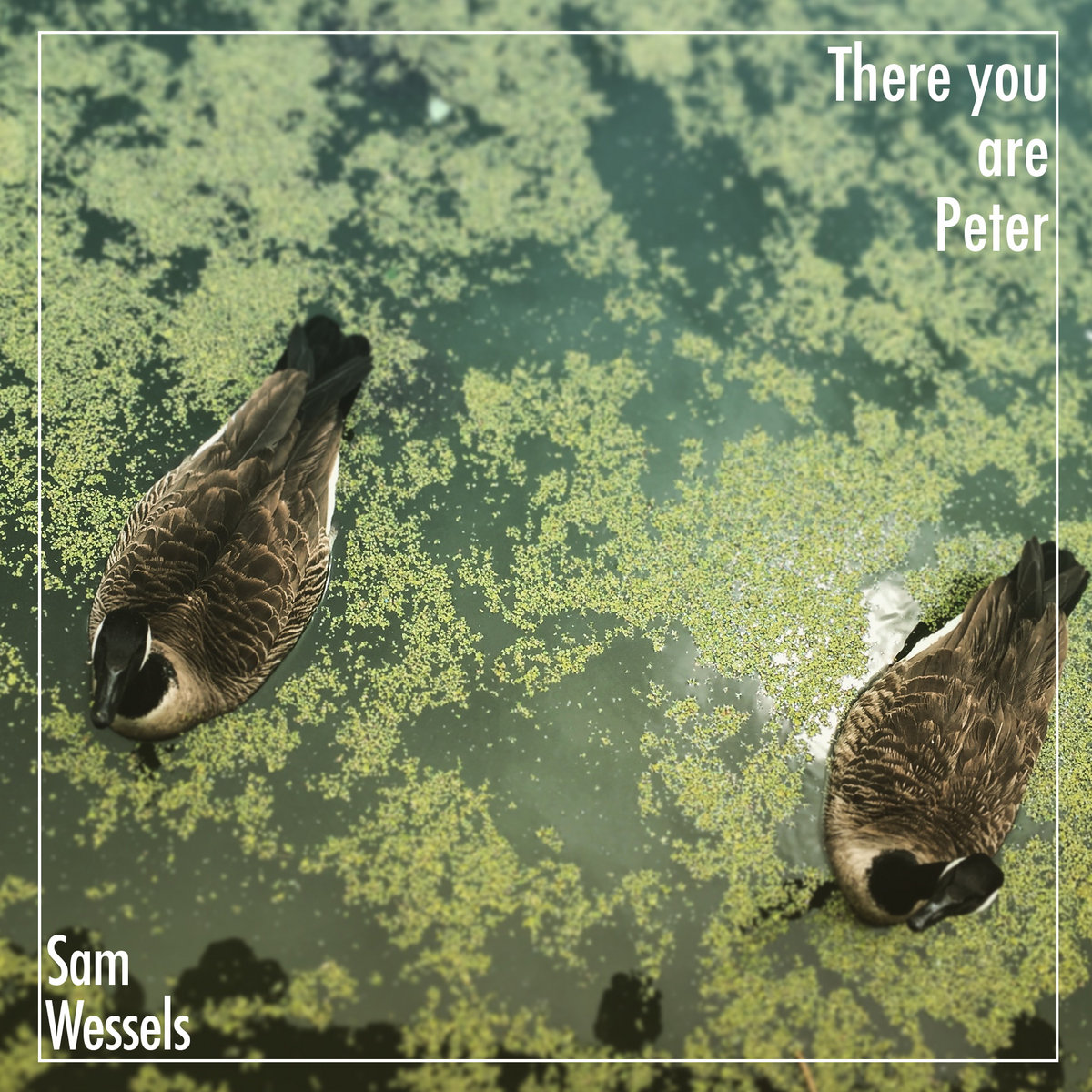 28. There you are Peter | sam wessels