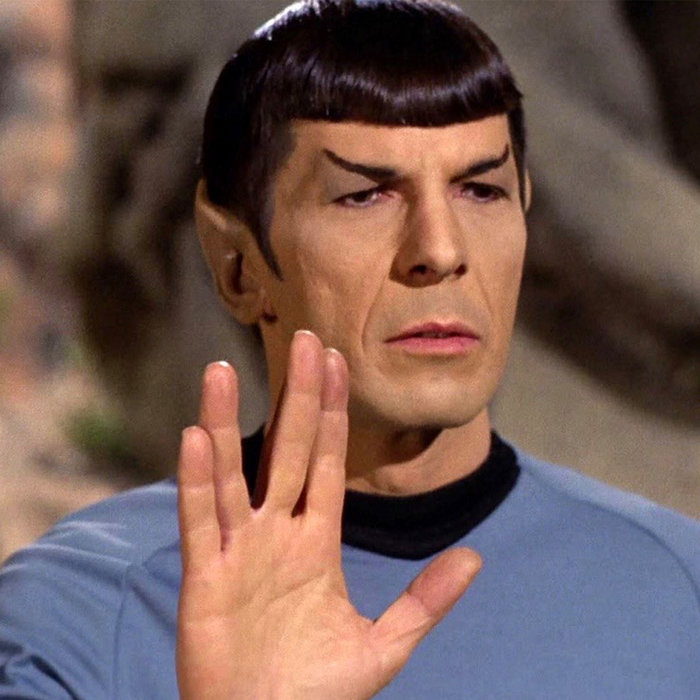 UFSV#5 | Skipp Whitman