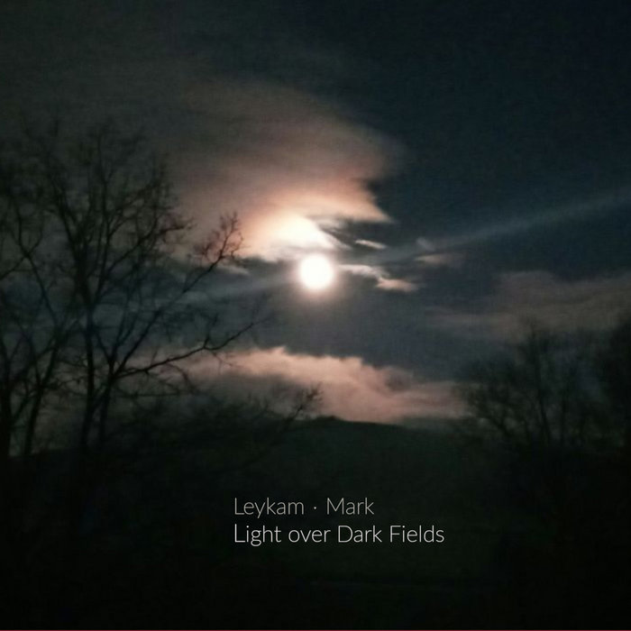 Light over Dark Fields | Leykam | Mark | Frank Mark