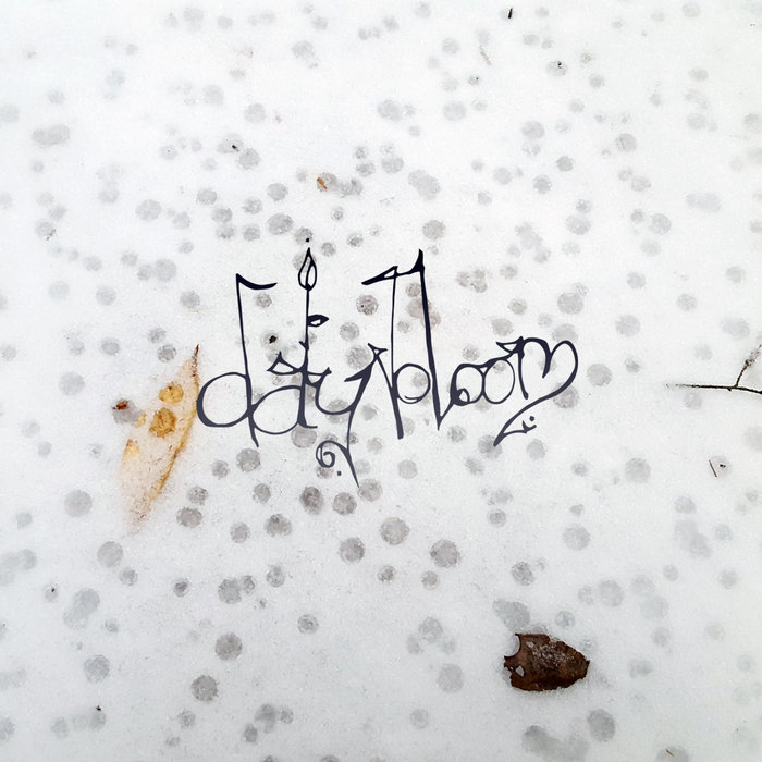 Daybloom | Daybloom