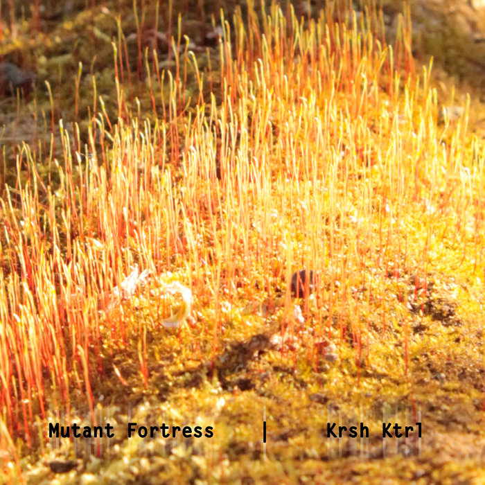 Krsh Ktrl | Mutant Fortress | Mathematician Records