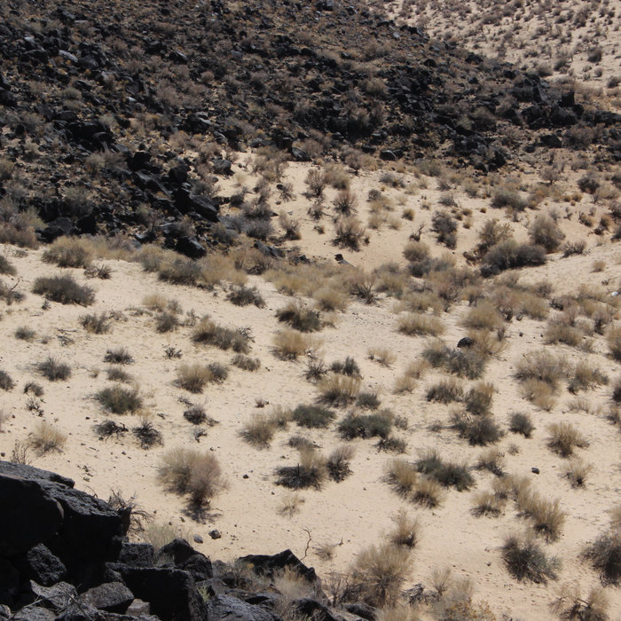 The Land Ethic, Spring 2022 | Andrew Weathers