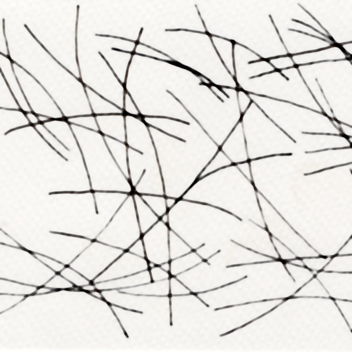 January | Tina Hitchens + Matthew Lovett | Matthew Lovett