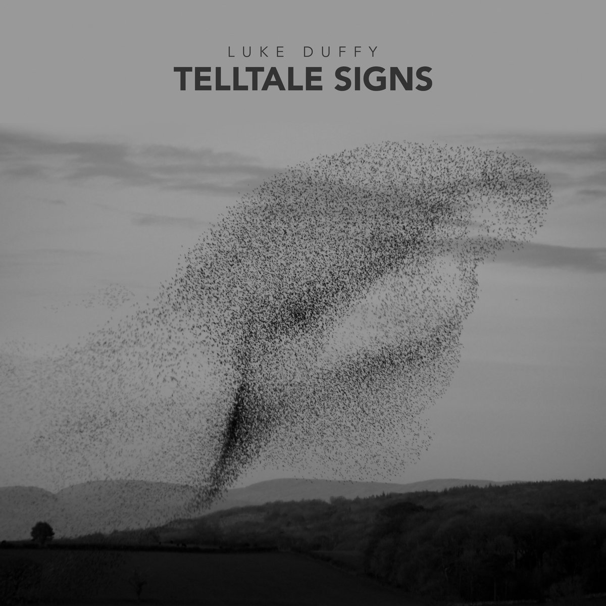 Telltale Signs | Luke Duffy