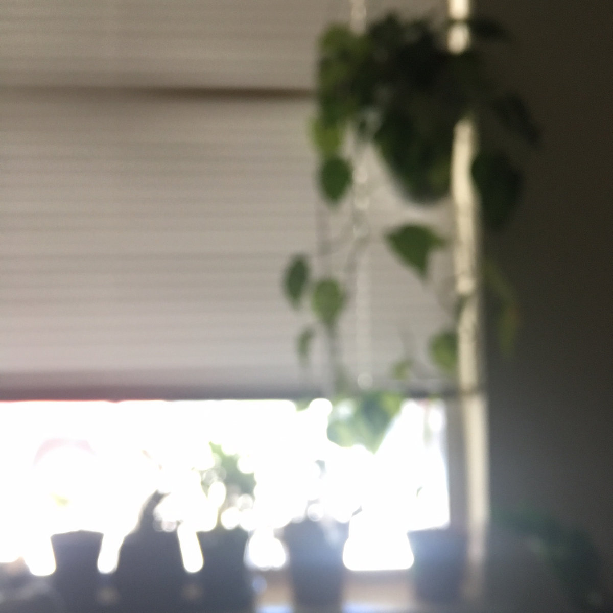 something like asleep | charlie kay