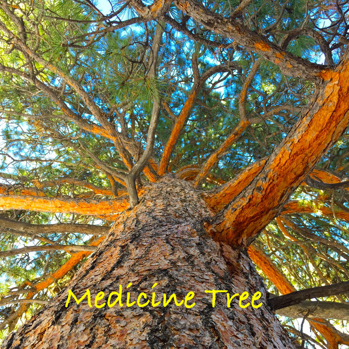 Medicine Tree | Wind And Rayn | Wind and Rayn