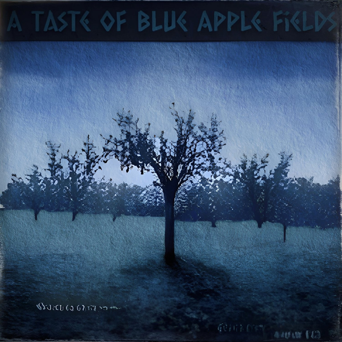 A taste of Blue Apple Fields | Blue Apple Fields