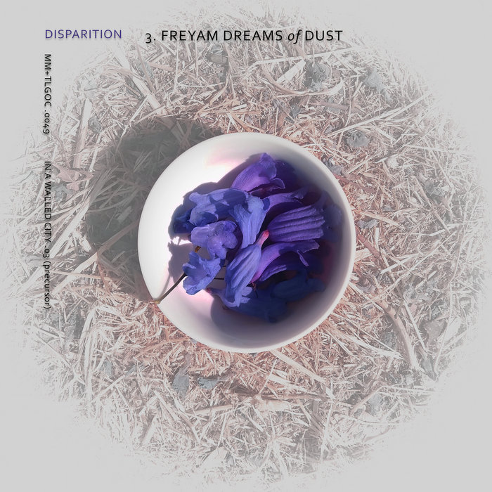 3. Freyam Dreams of Dust | Disparition