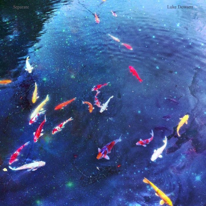 Separate | Luke Dowsett