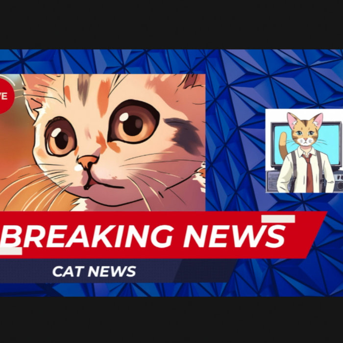 Cat News | Collingwood Kids