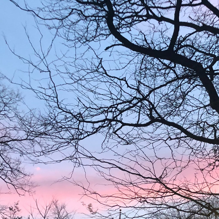 dive/slow fall | toomanyflowers