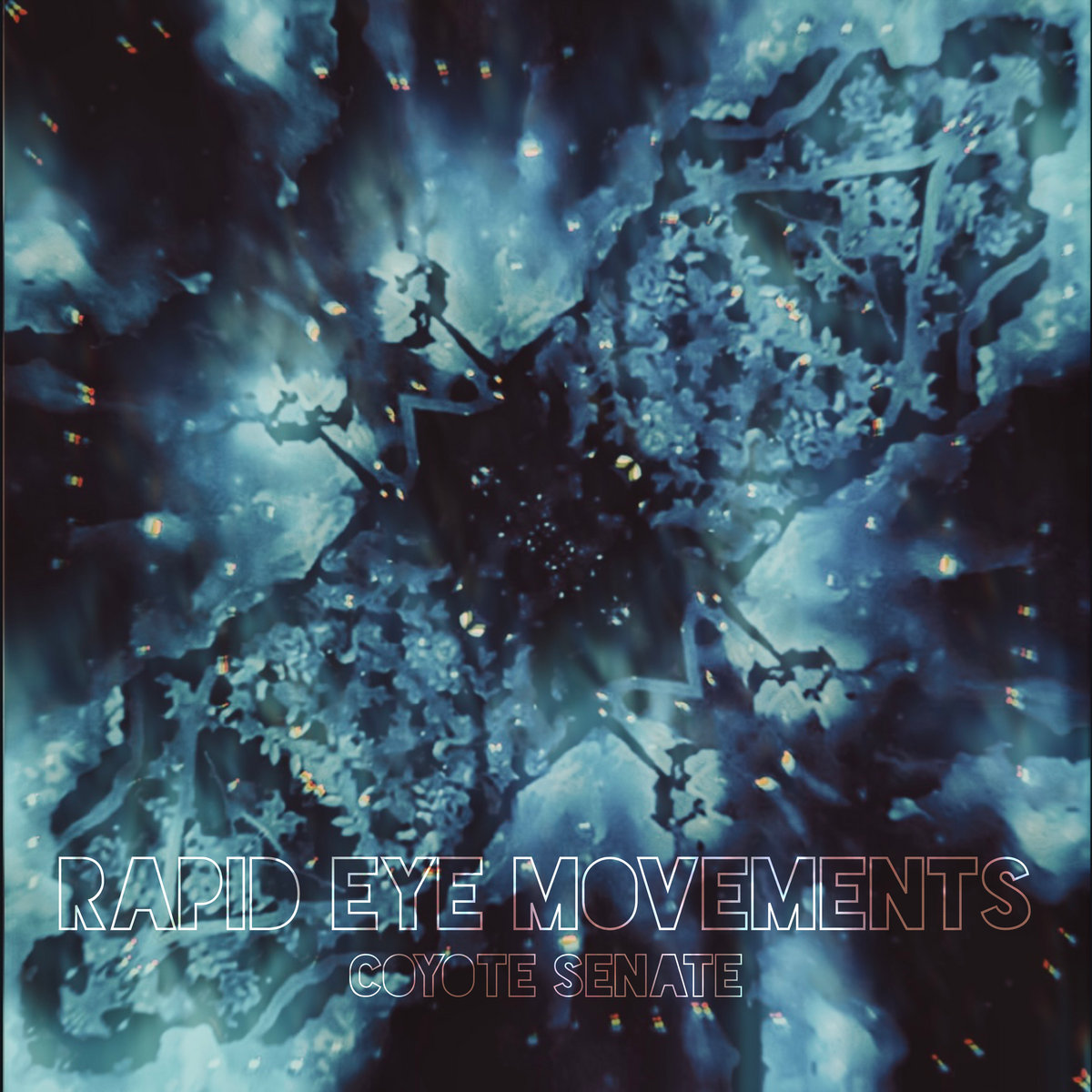 Rapid Eye Movements | Coyote Senate