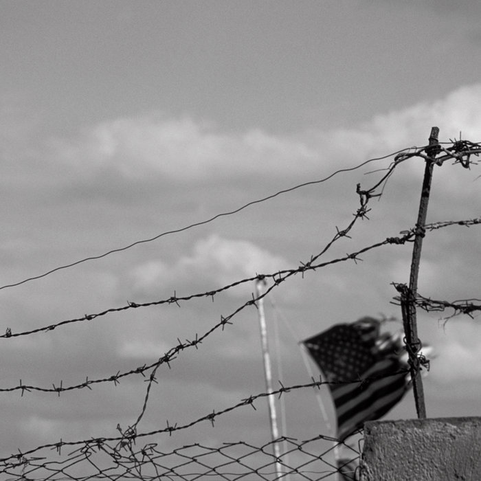 Fake Freedom | Brando Lupi