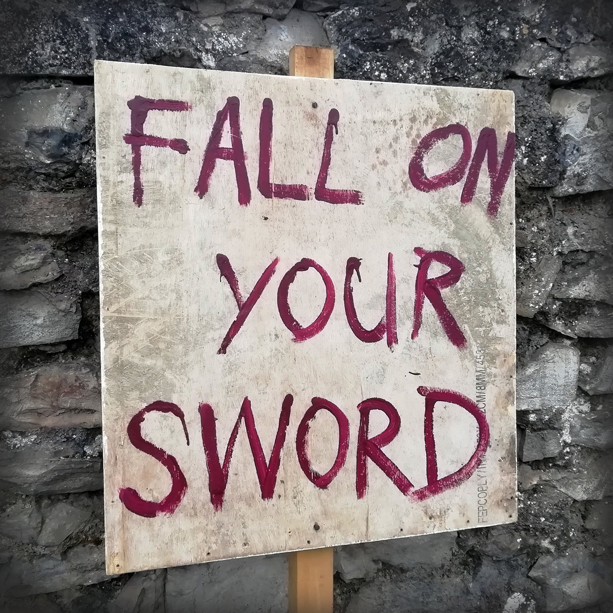 Fall On Your Sword | Kassavettes