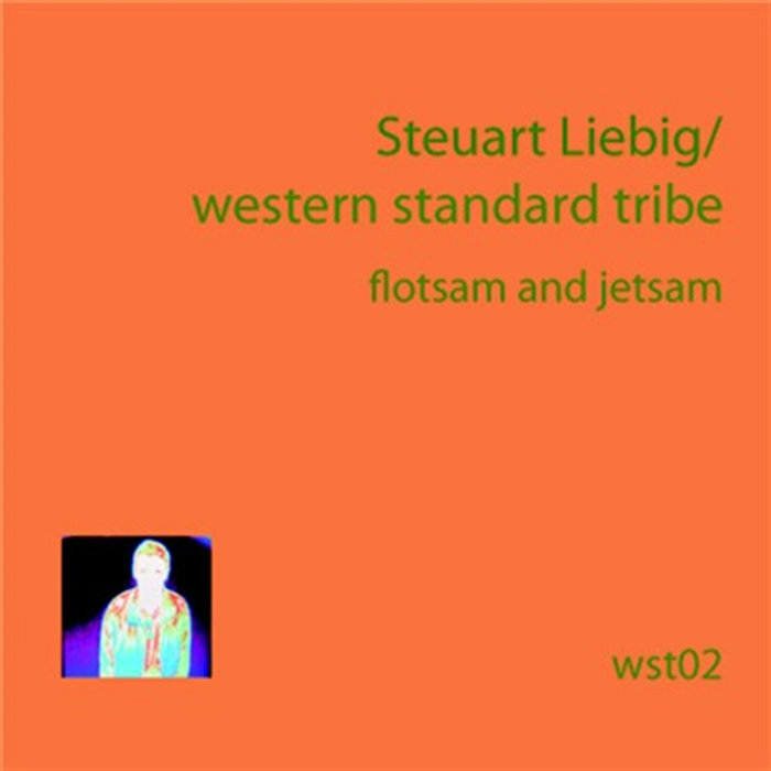 Flotsam And Jetsam | Steuart Liebig