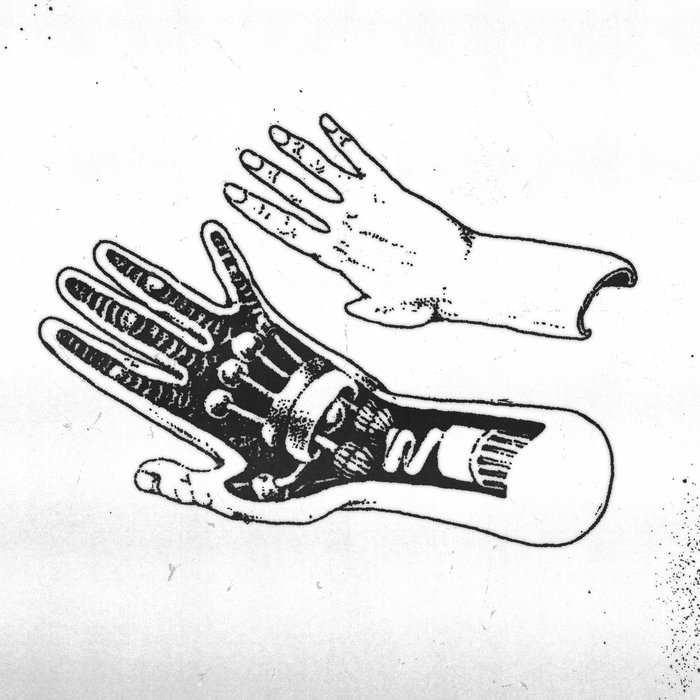 Echoes02 | Muskatt