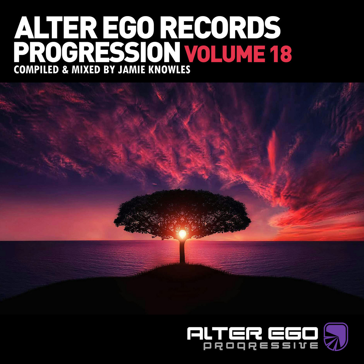 Progression, Vol. 18 | Various Artists | Alter Ego Music Ltd