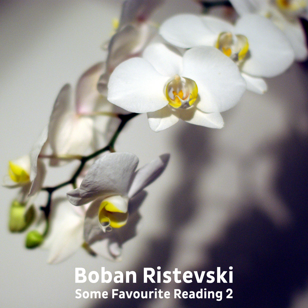 Some Favourite Reading 2 | Boban Ristevski