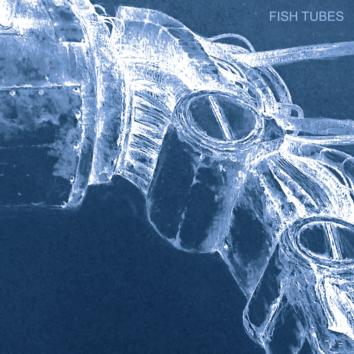 Fish Tubes | SCB