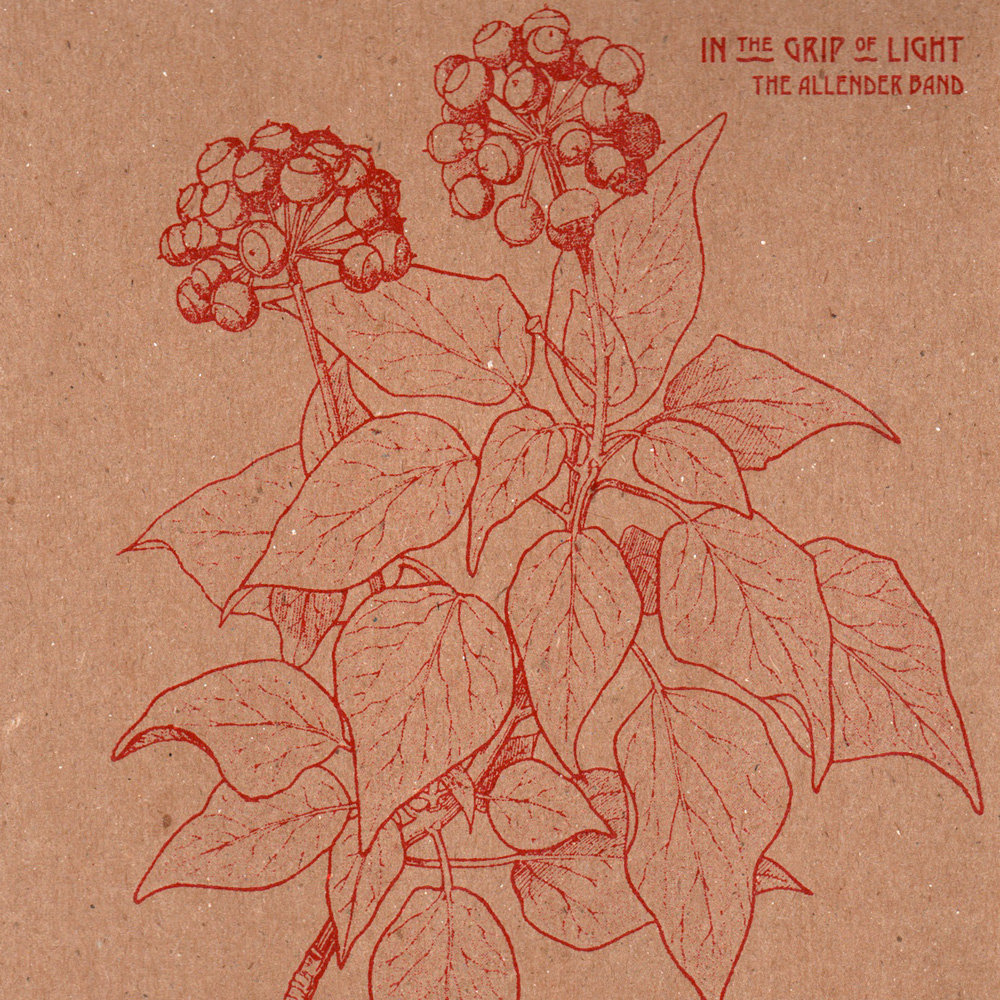 In the Grip of Light | The Allender Band | Robin Allender