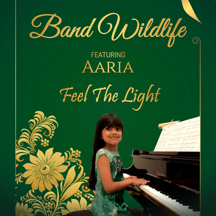 Feel the Light | Aaria and Band Wildlife