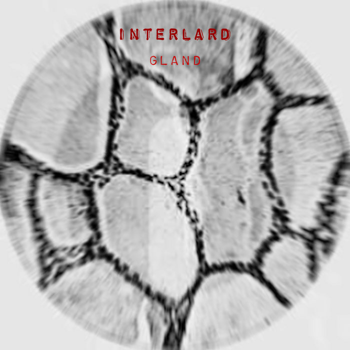 Gland | Interlard