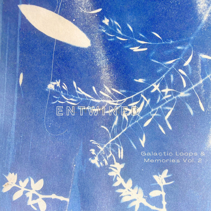 Galactic Loops and Memories, Vol. 2 | entwined | Searching Records